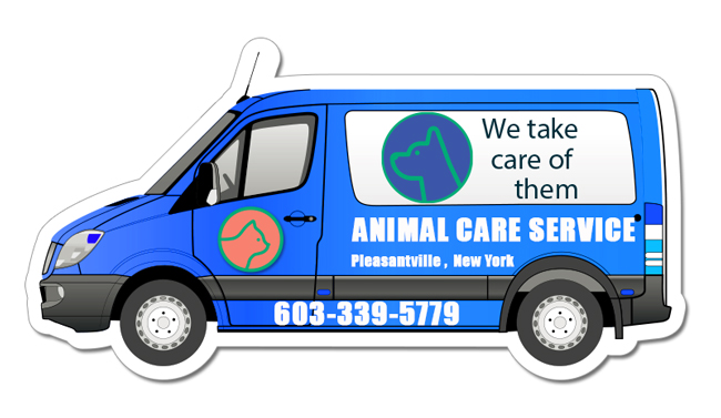 3.11x6.01 Van Shaped Magnets 20 Mil