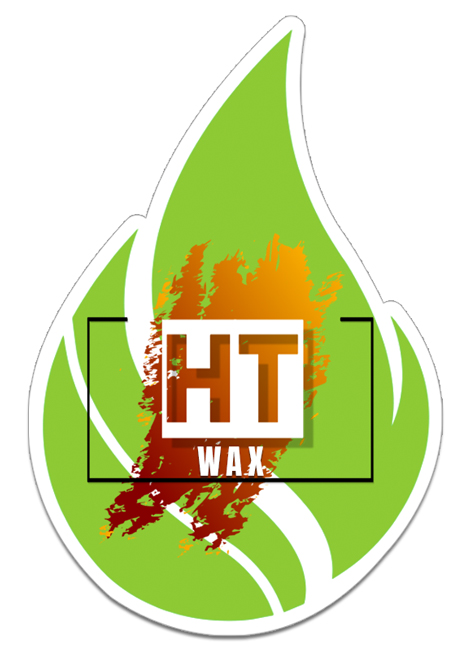 6x4 Flame Shaped Magnets - 20 Mil