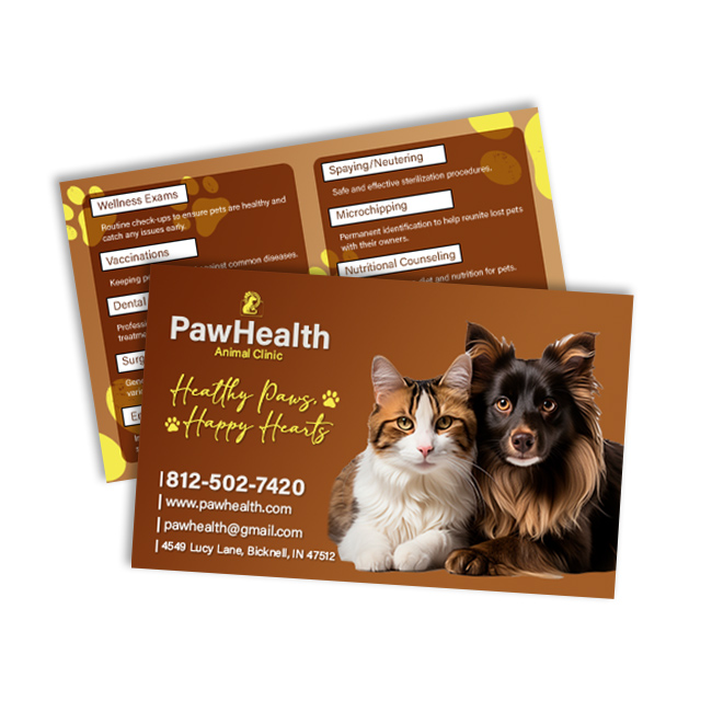 4x6.37 Double Sided Rectangle Magnets