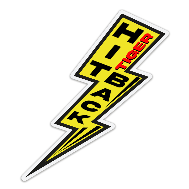 15.5" x 6" Lightning Shaped Full Color Rally Signs - One Side